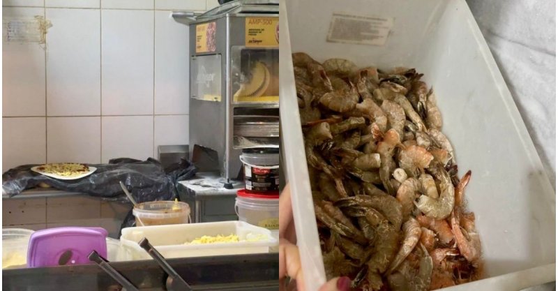 Camarão podre e comida vencida: restaurante é fechado em SC por causar ...